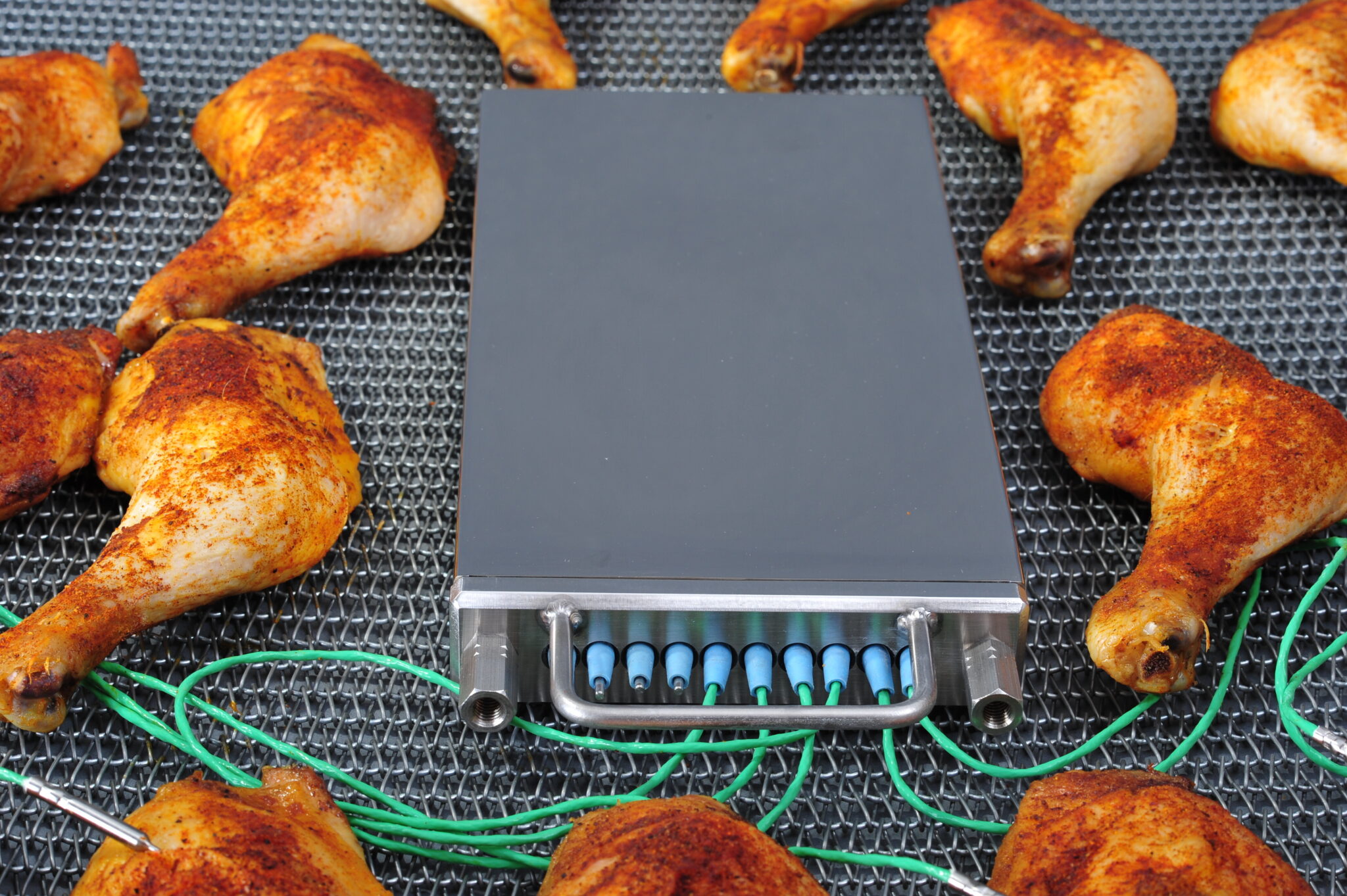 PhoenixTM solution to HACCP Cook & Chill CCP Validation - Process & Control